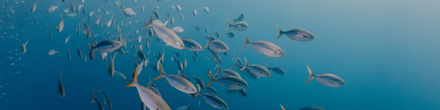 ความหลากหลายทางชีวภาพ | Saha Pathana Inter-Holding