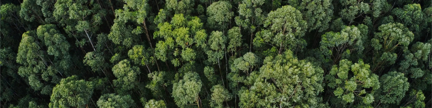 Climate Change Management | Saha Pathana Inter-Holding