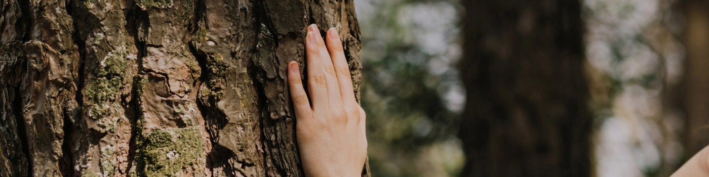 การบริหารจัดการคุณภาพสิ่งแวดล้อม | Saha Pathana Inter-Holding