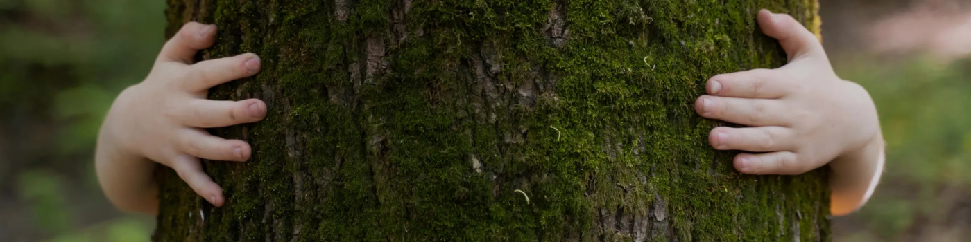 ESG Index | Saha Pathana Inter-Holding